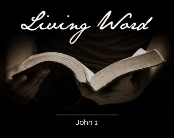 Portrait Gallery - Beholding Christ - SafeGuardYourSoul