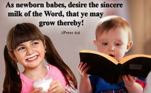 The Sincere Milk of the Word [podcast] - SafeGuardYourSoul