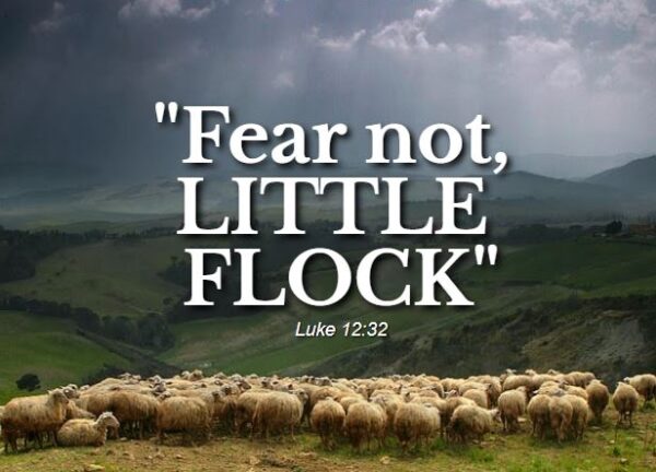Clear Proof that Jesus' Flock is a "Little Flock" - SafeGuardYourSoul