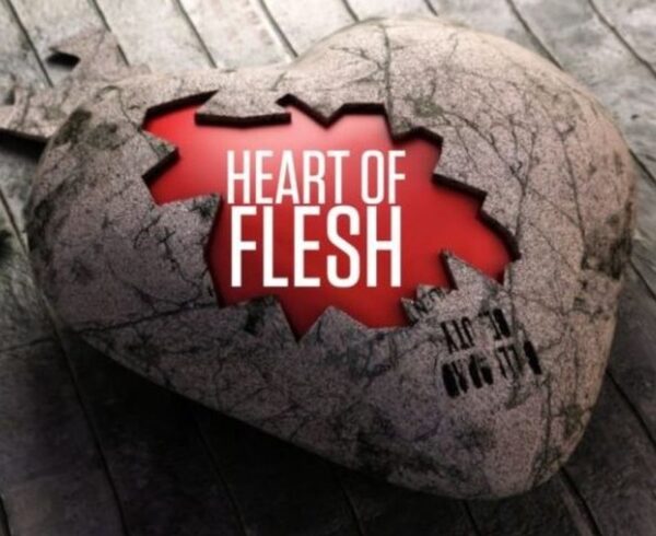 An Heart of Flesh [podcast] - SafeGuardYourSoul