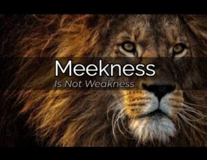 "The MEEKNESS and Gentleness of Christ" [podcast] - SafeGuardYourSoul